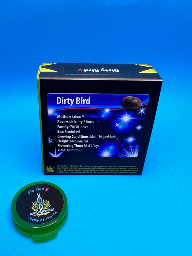 EXOTIC GENETIX - DIRTY BIRD STRAIN - FEM PHOTO - 6 PACK