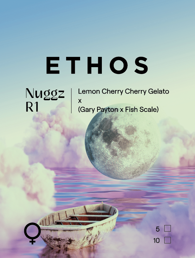 Ethos Genetics – Nuggz R1 Strain – Fem Photo