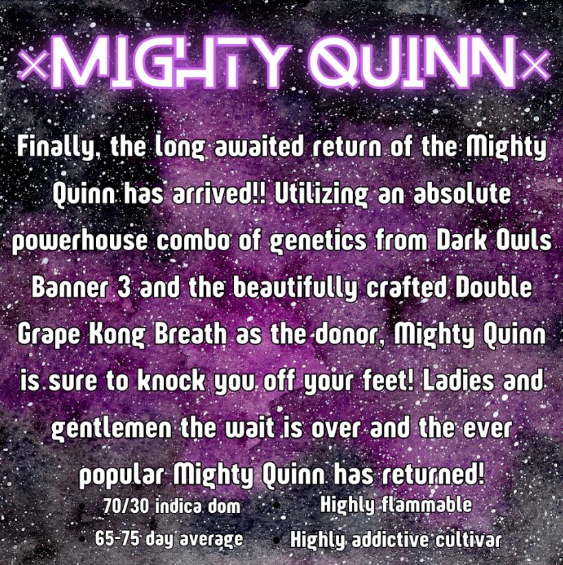 Photon Pharms – Mighty Quinn Strain – Auto Fem – 3 Pack