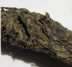 TRIDENT SEEDS - SHEELAWATHI PADERU HILLS STRAIN - REG PHOTO ...