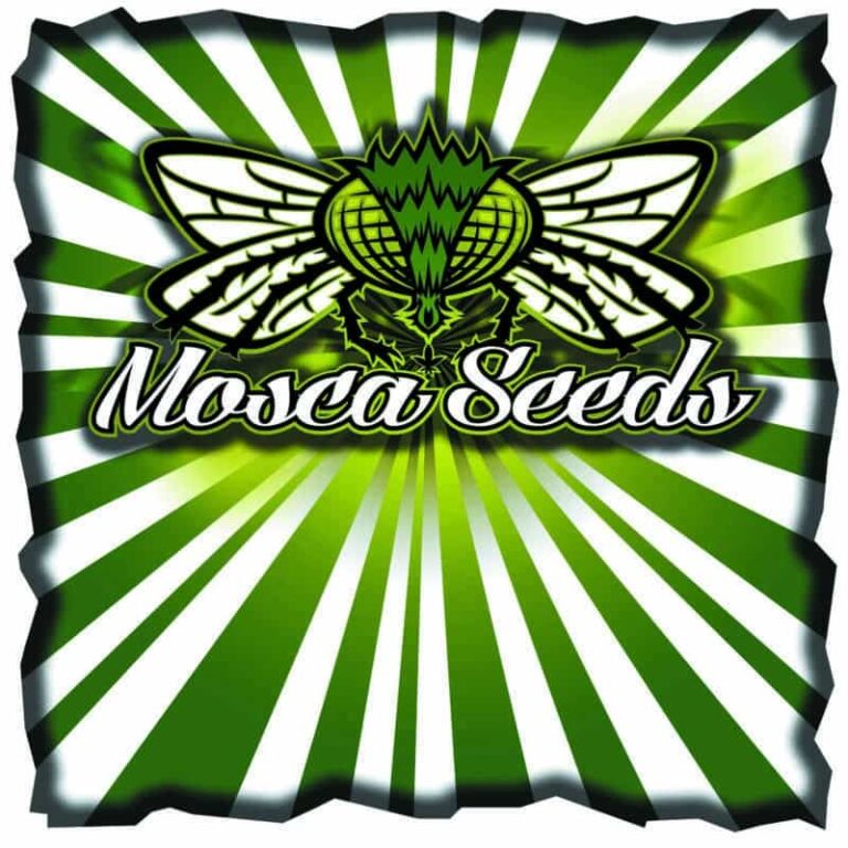 MOSCA SEEDS - LARRY BUBBA GELLY STRAIN - AUTO FEM - 5 PACK - Multiverse ...