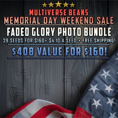 Cannabis Seed Bundles | Multiverse Beans