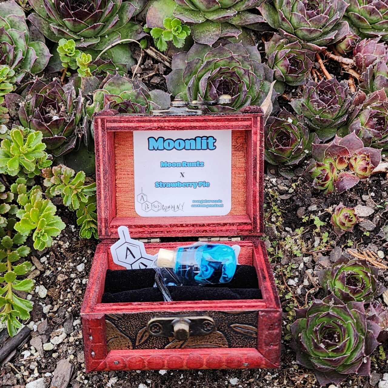 Ab Seed Co – Moonlit Strain – Reg Photo – 12 Pack | Multiverse Beans ...