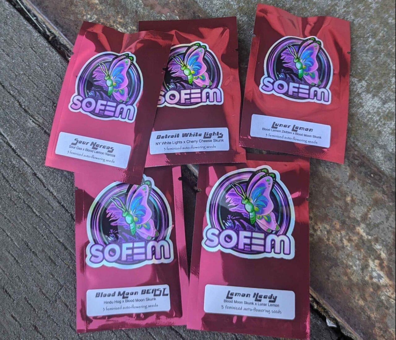 Sofem Auto Bundle 1 | Multiverse Beans Seed Bank