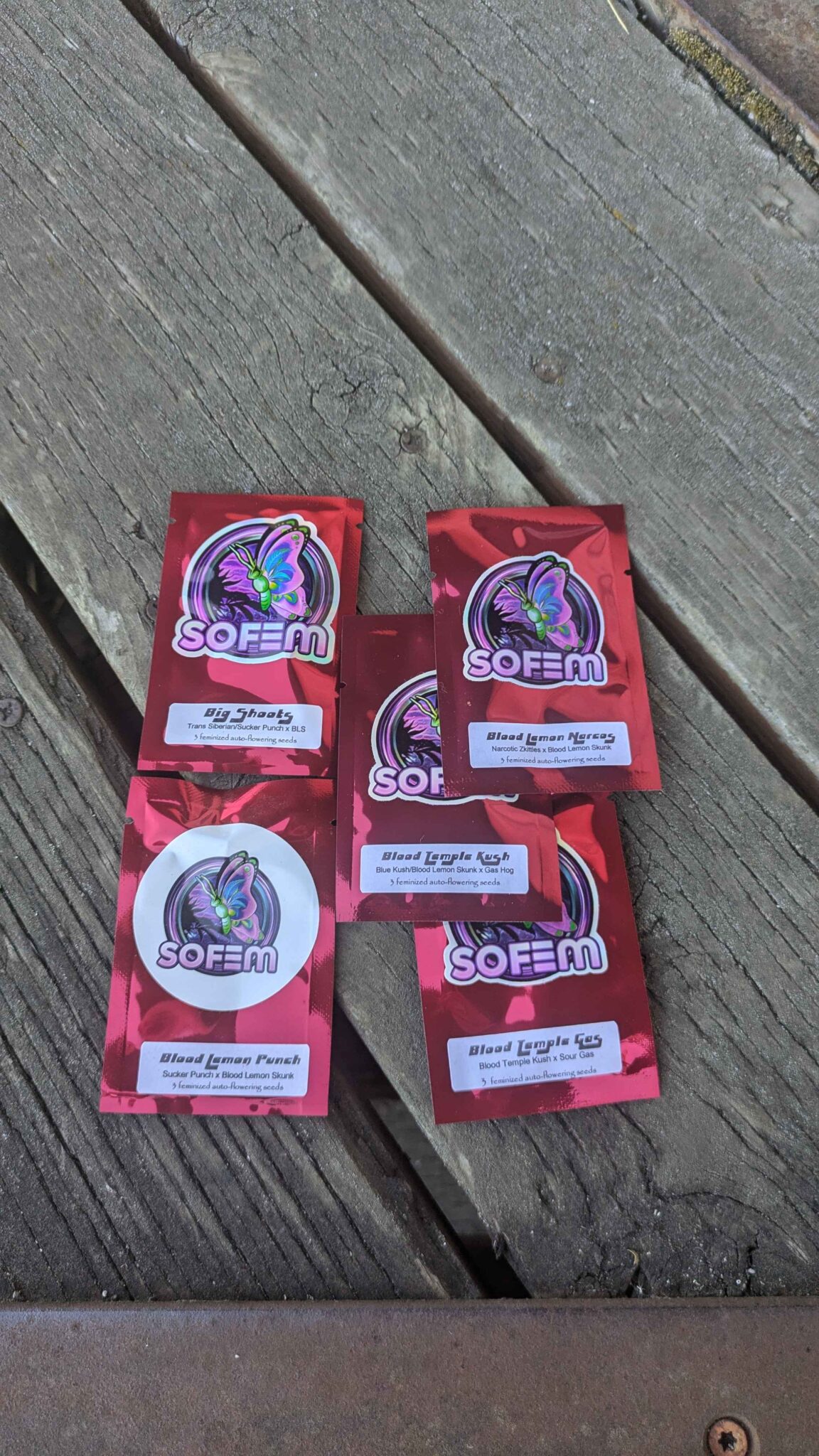 Sofem Auto Bundle 2 | Multiverse Beans Seed Bank