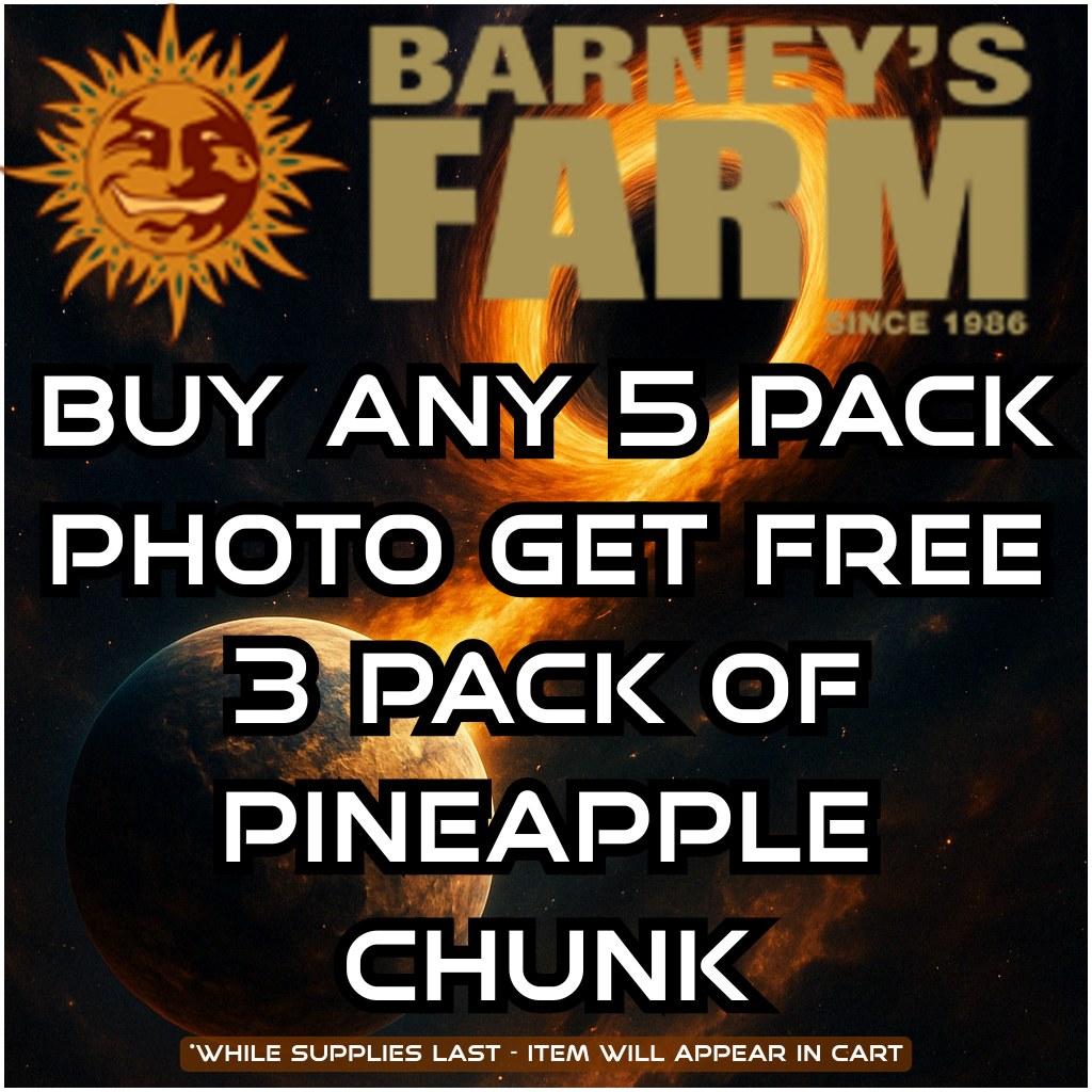 Autoflower Cannabis Seeds for Easy Growing | Multiverse Beans